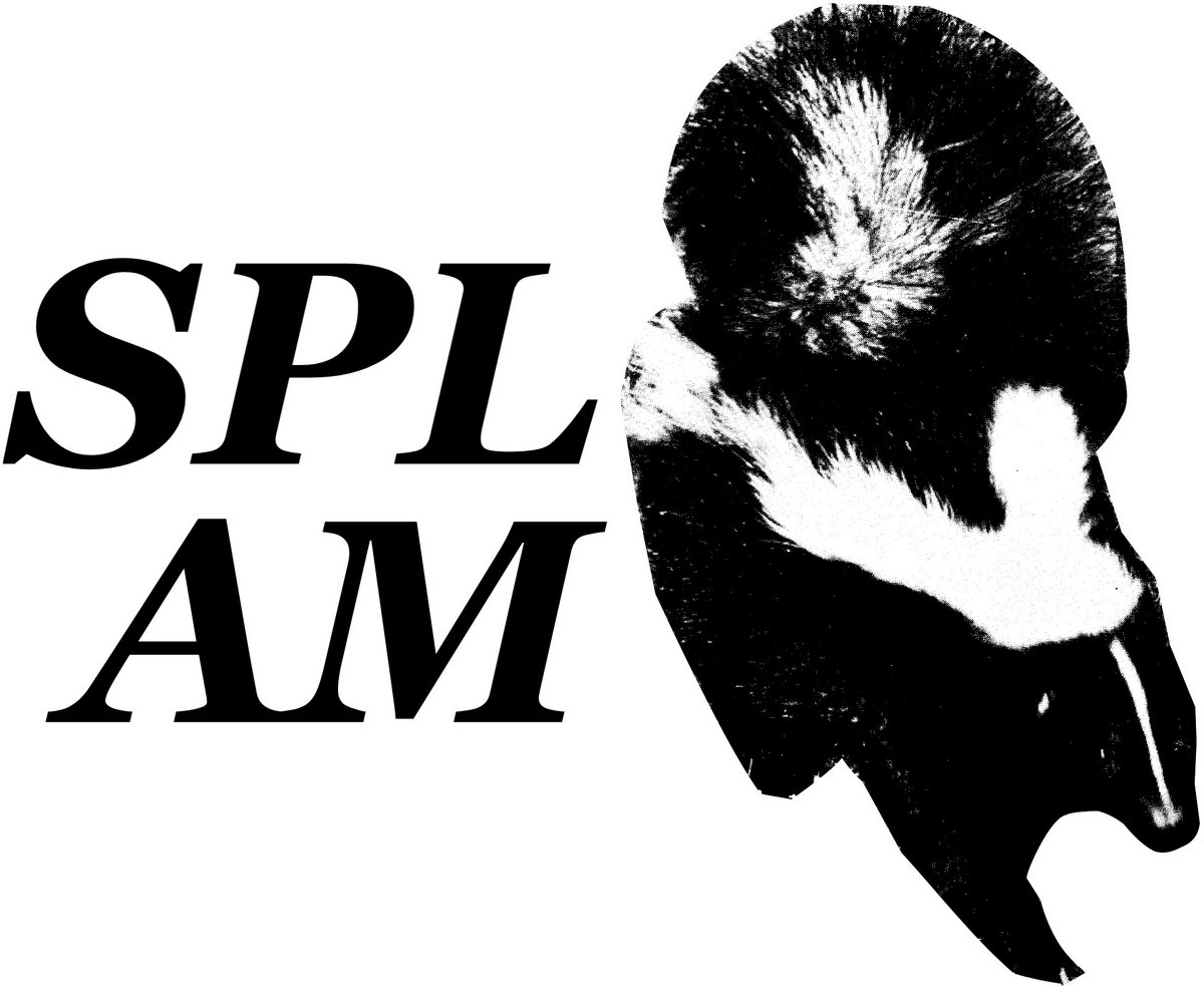 In Search Of... | Belgrade Wolf Unit | SPLAM