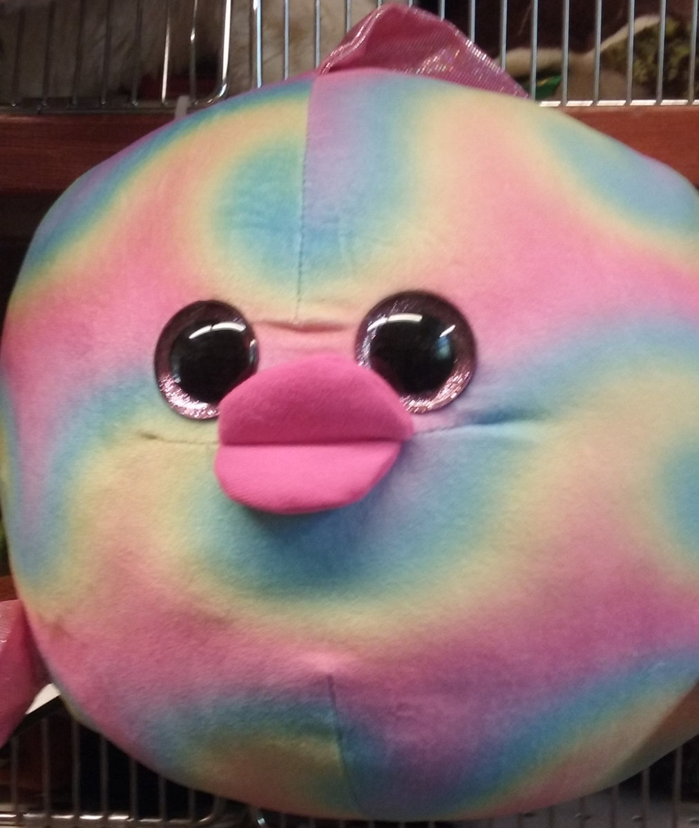 Intro to Introspection | Miles Baker