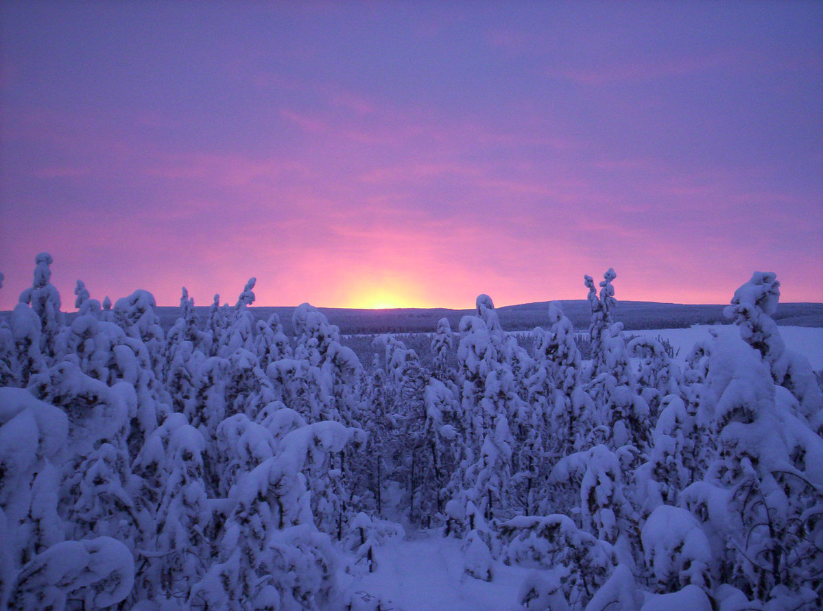 Plant Mutter | Plant Matter