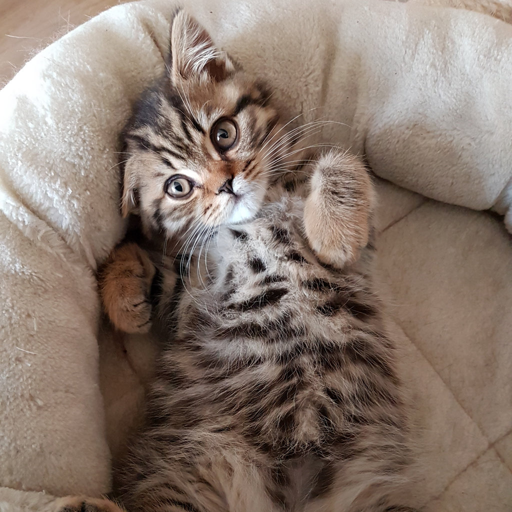 grahambentley's collection | Bandcamp