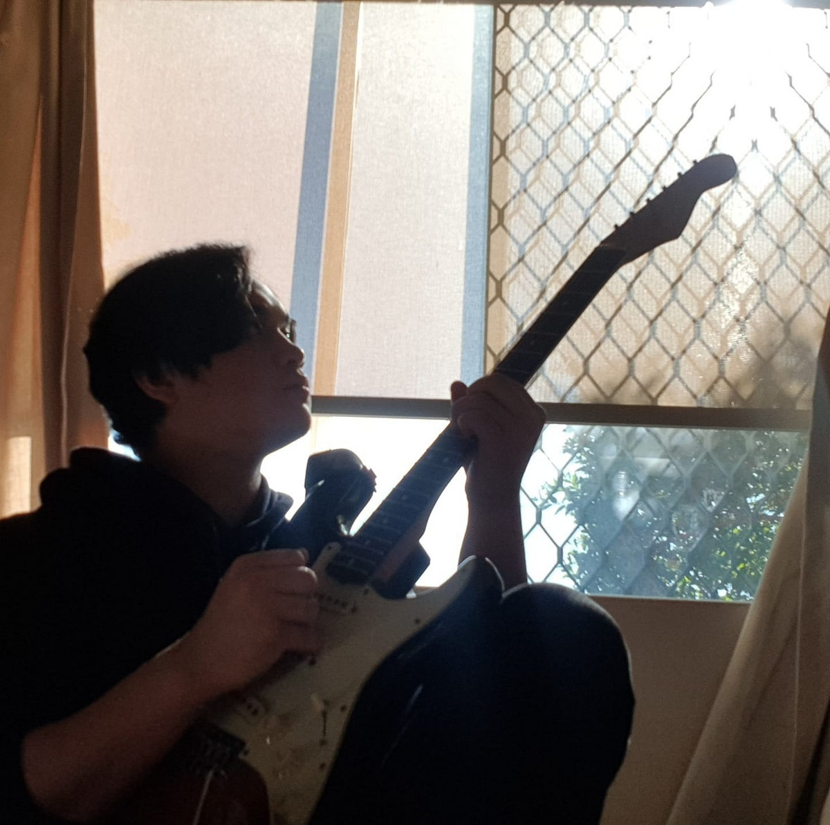 Rose | Emilio Castaneda