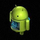 2012 Singles | Kubbi