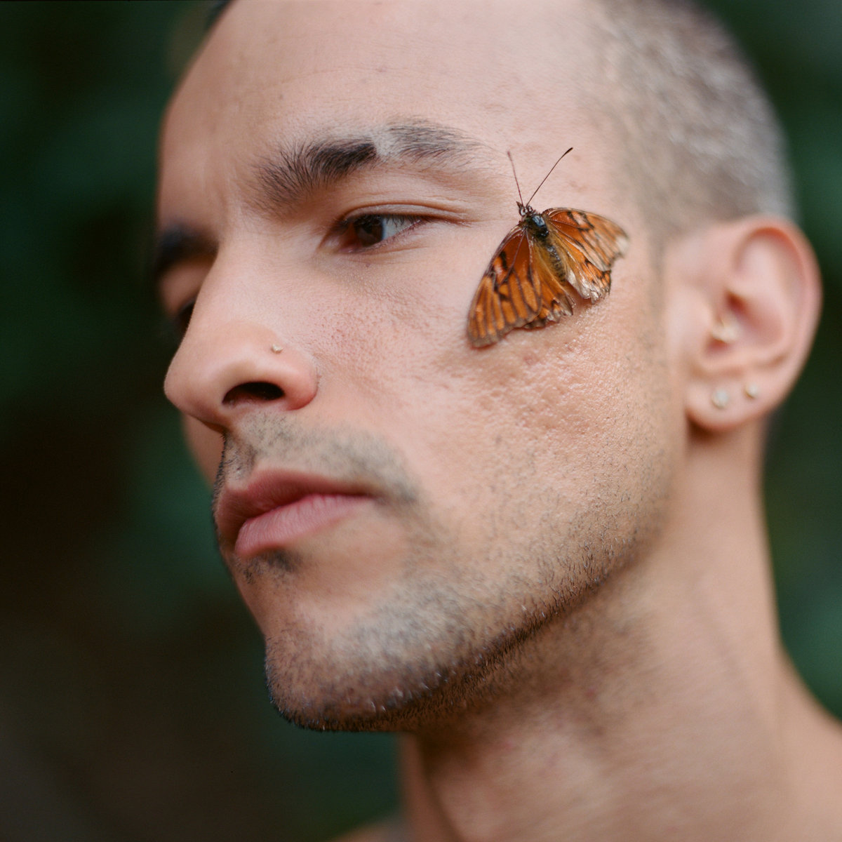 Golden Wings | Gabriel Garzón-Montano