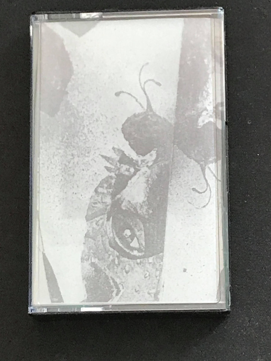 Stagnant Fluids | Stagnant Fluids | POWDER RECORDINGS