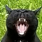 Billboard Heart | Deep Sea Diver