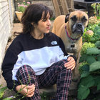 Butterfly 3000 | King Gizzard & The Lizard Wizard