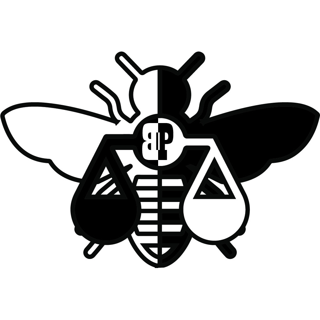 A Problem with Words | Bombilating Pettifogger