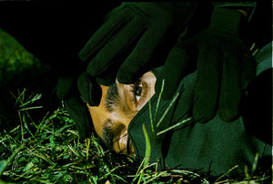 Music | The Partly Because