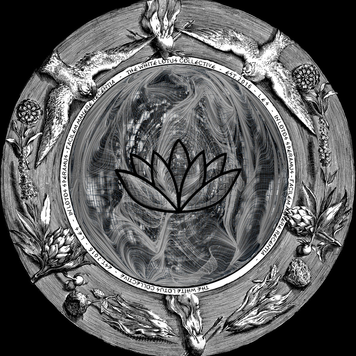 AWAKENING | White Lotus Collective