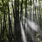 Safe Passage - Spring2020AntiPandemicAnxietySlowMotionLoopedVersion ...