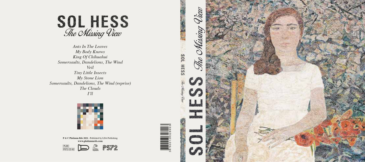 The Missing View | Sol Hess