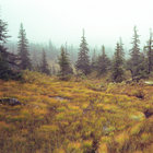 DreamySpaceyBlue | Bella Boo