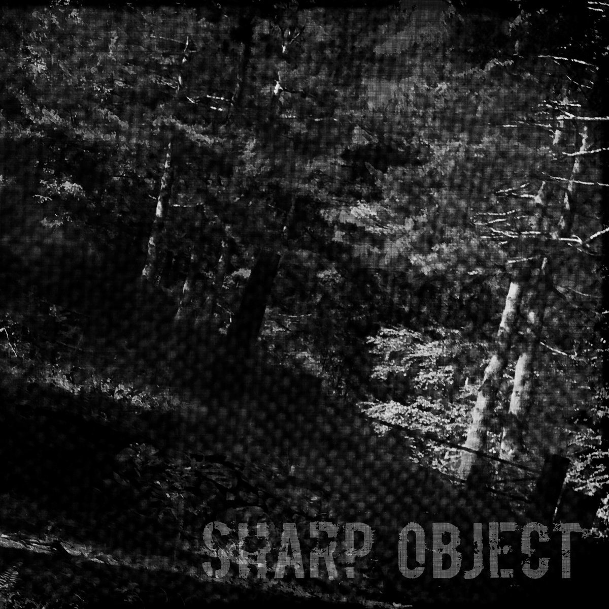 When The Drinking Water Turns to Gasoline | Sharp Object