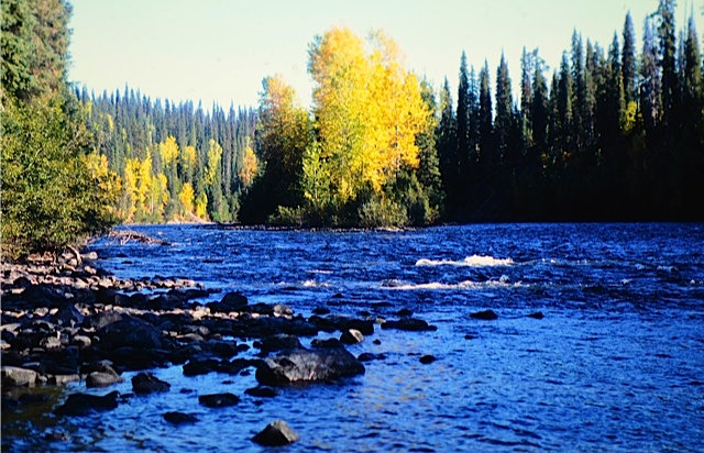 Somewhere Down That Famous River | Pierce Clegg