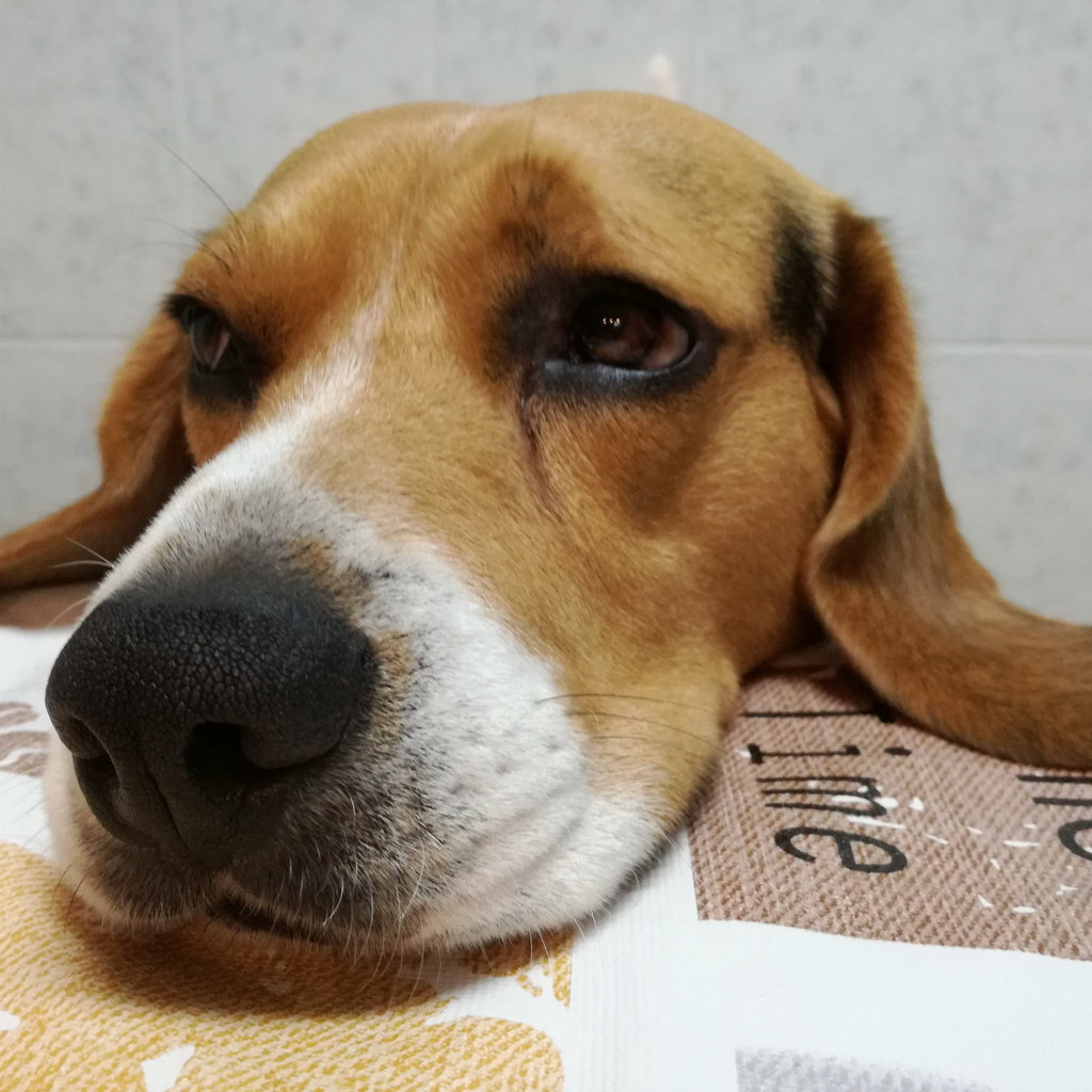 doctorwaffle's collection | Bandcamp