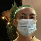 Stemming Back | ian finkelstein