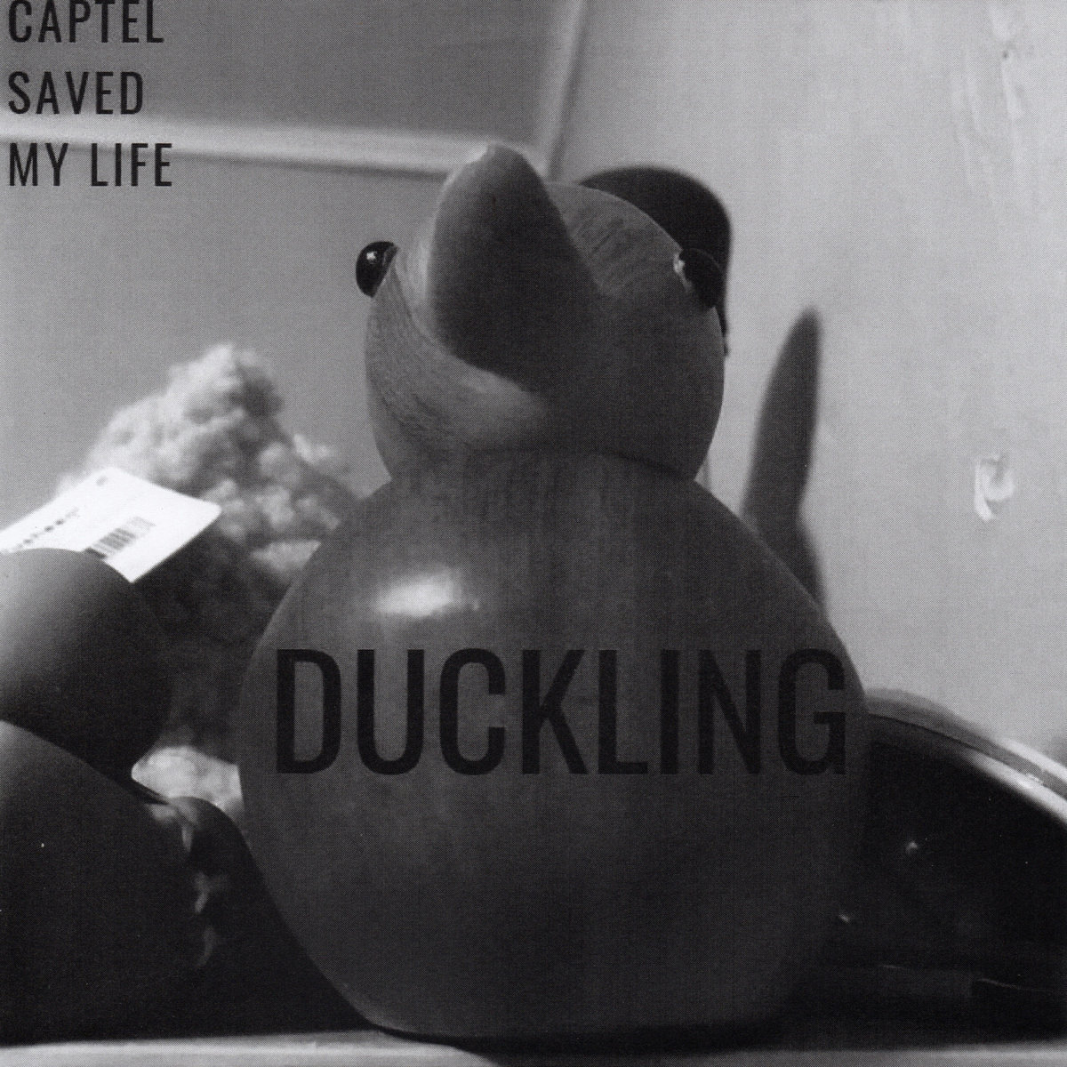 Duckling Split | Habitat for Insanity