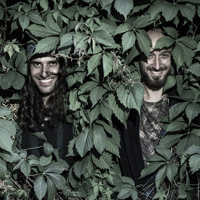 Kingdom of Earth | Astral Flowers