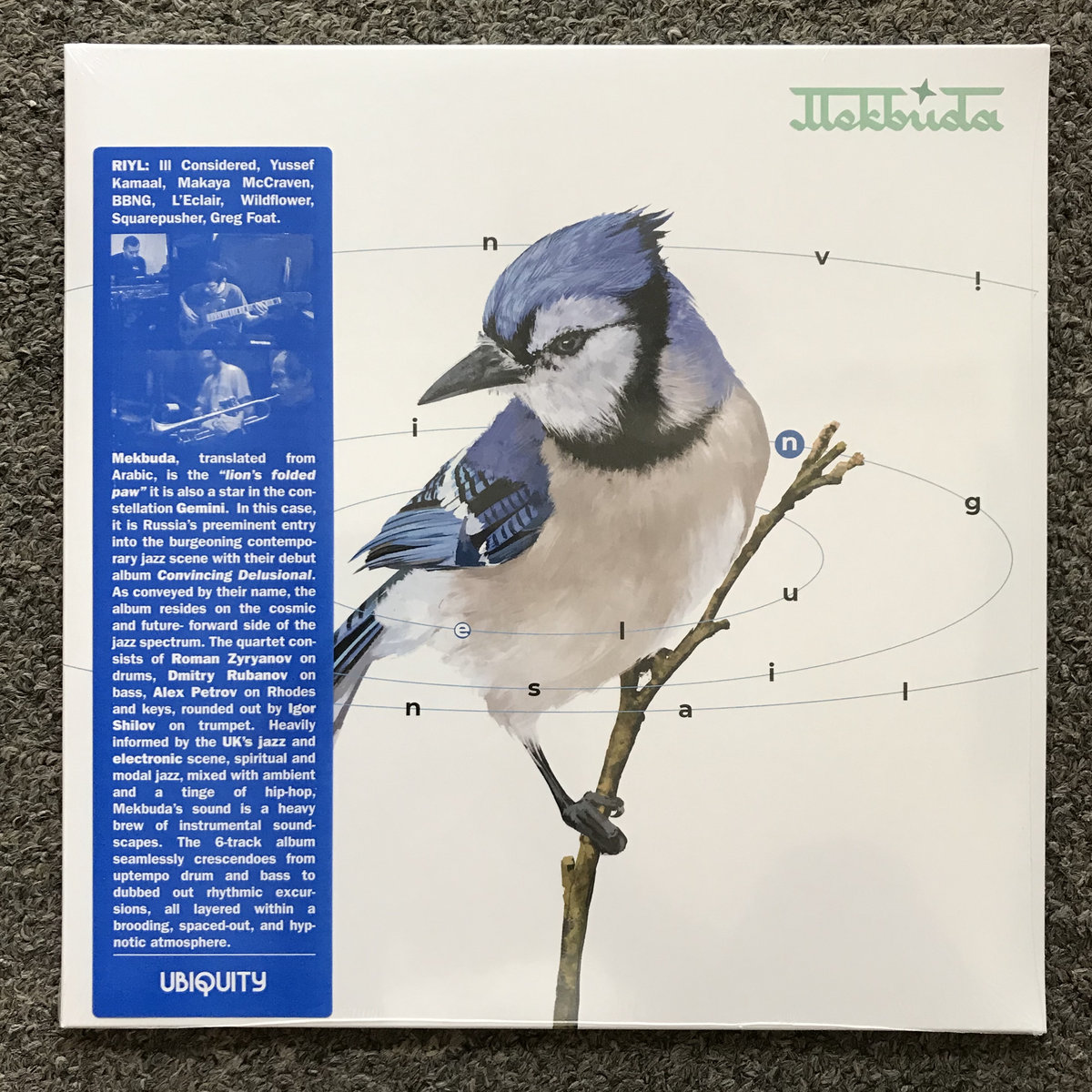 Convincing Delusional | Mekbuda