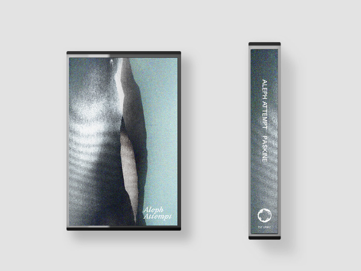 Aleph Attempt | Paskine