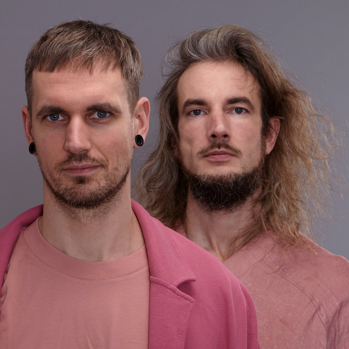 Monkey Safari - Body Language Vol. 24 | Monkey Safari