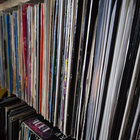 Model Collapse | Sully