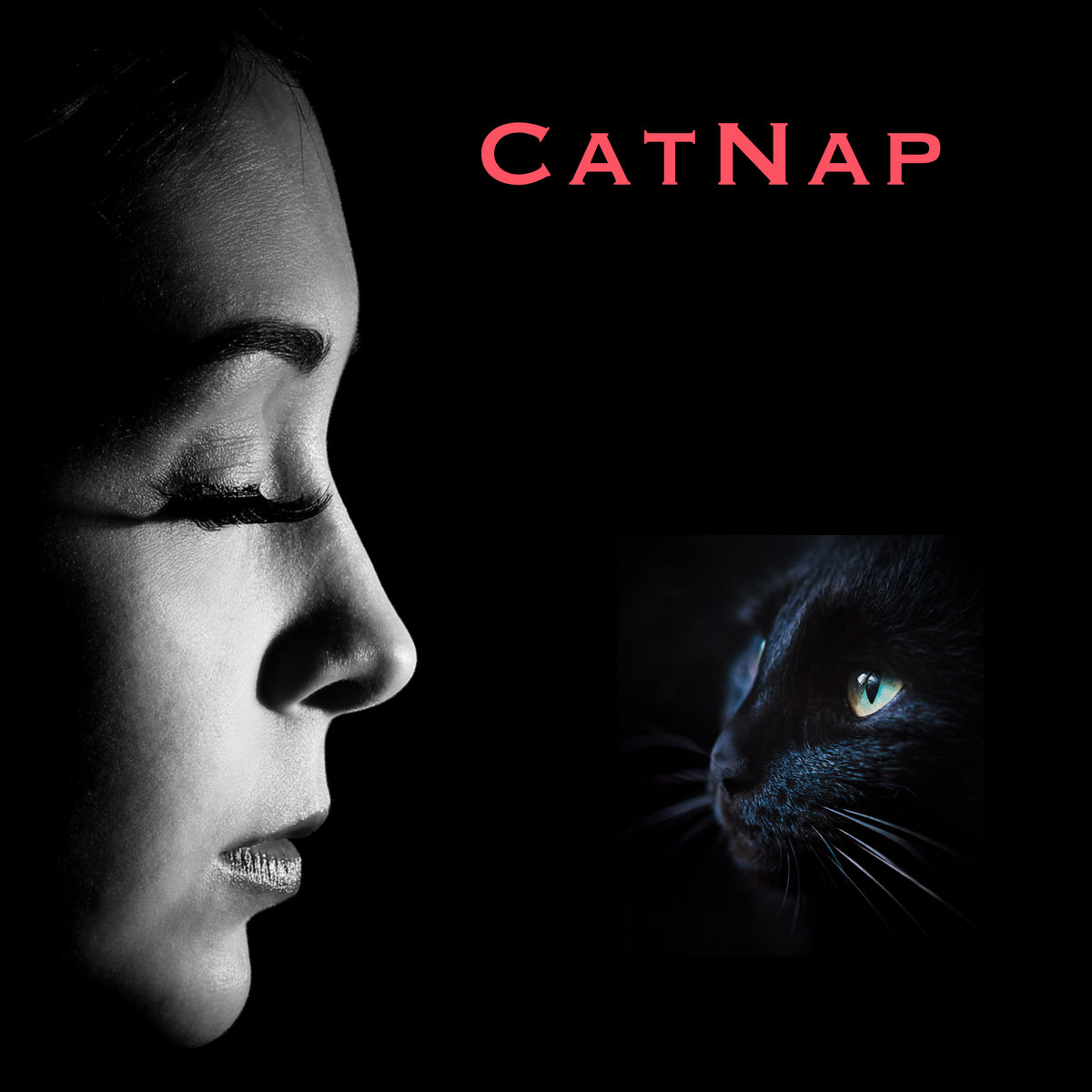 Music | CatNap Music
