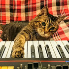 Moonlighting | maromaro