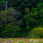 Warm Blood | Blithe Field