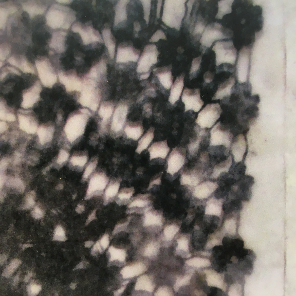 Reveal | Daniel Adams