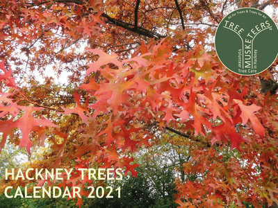 Hackney Trees Calendar 2021 | Full Time Hobby