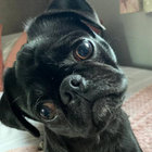 The Bywater Sessions | Jon Cleary