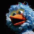 Shika Shika: 5 Years (V.A.) | Shika Shika