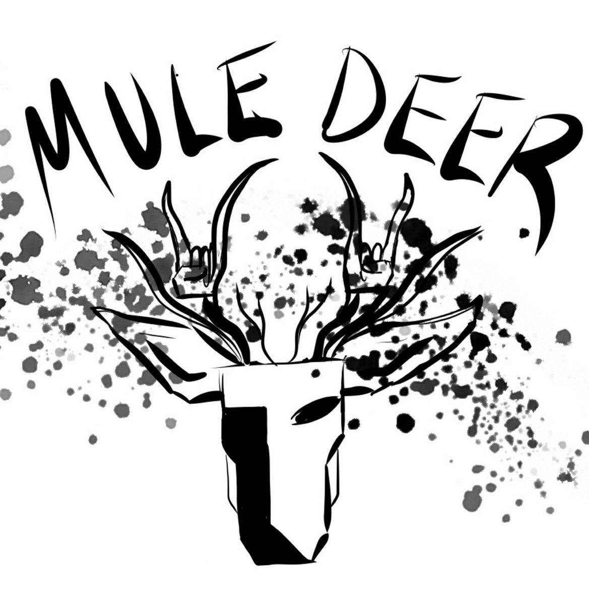 Mule Deer | Mule Deer
