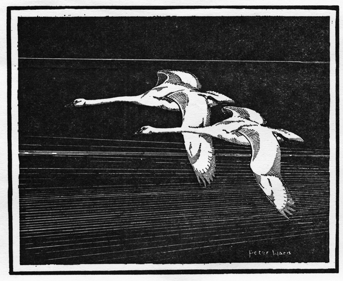 Songs from 38 Maple Street | Peter Ward and Laurel Ward