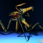 Forward Escape | Tipper