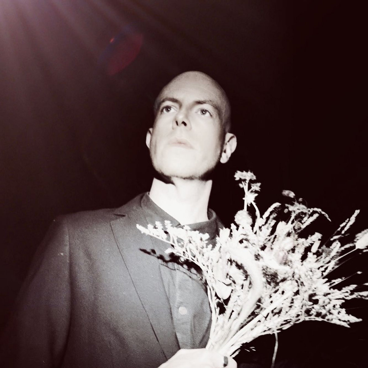 Wild Life | Michael Anguish