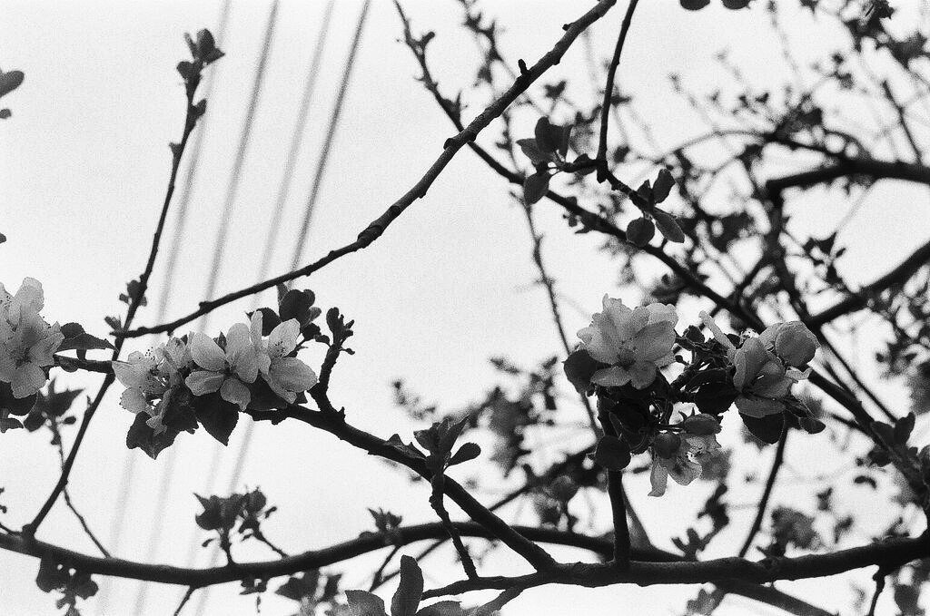 sitting in front of the sun-soaked lake | sleep bandit