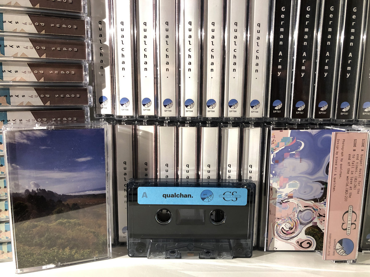 Cassette bundle - two albums, three cassingles | super Polar taïps