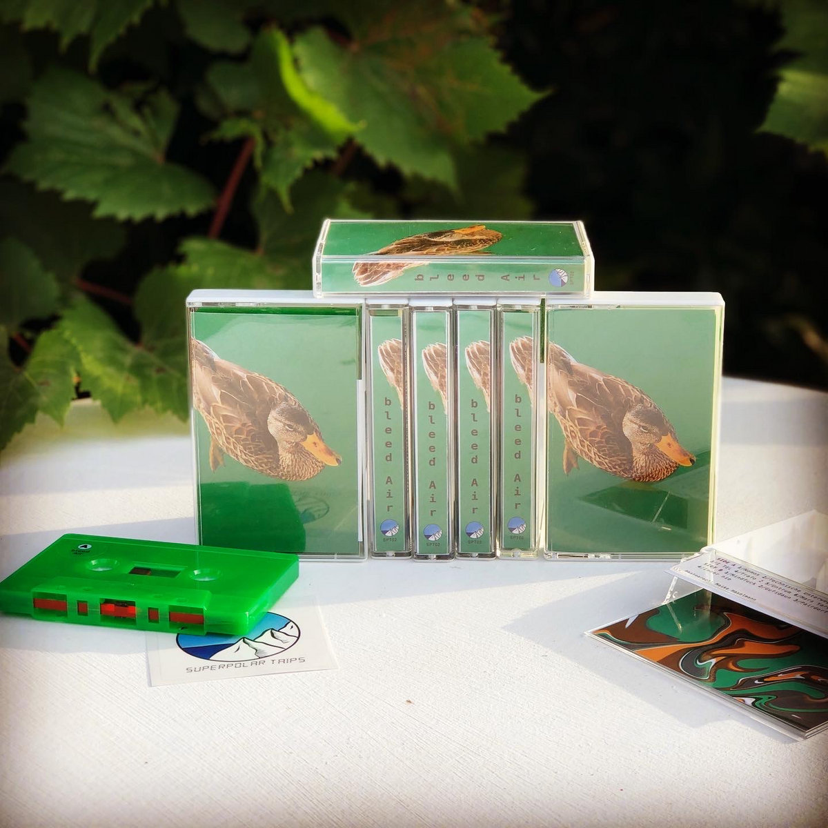 Cassette bundle - two albums, three cassingles | super Polar taïps