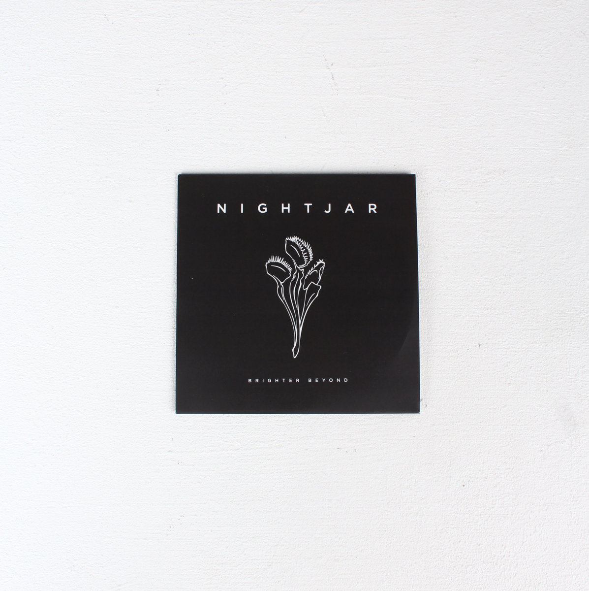 NIGHTJAR FULL MERCH BUNDLE | Nightjar