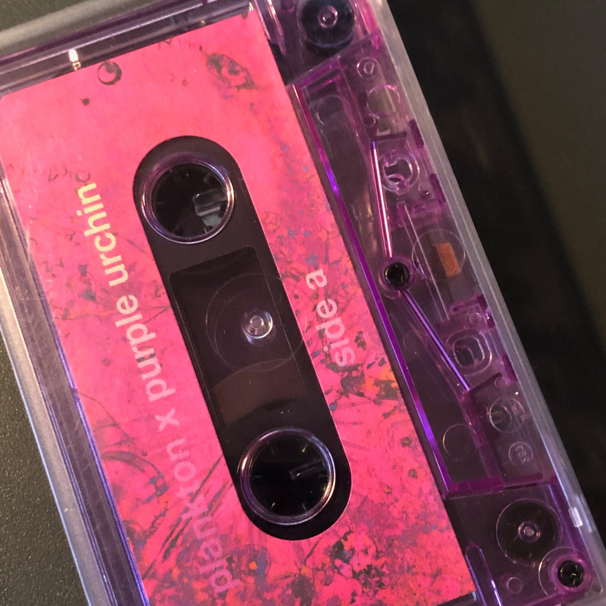 plankton x purple urchin | plankton x purple urchin