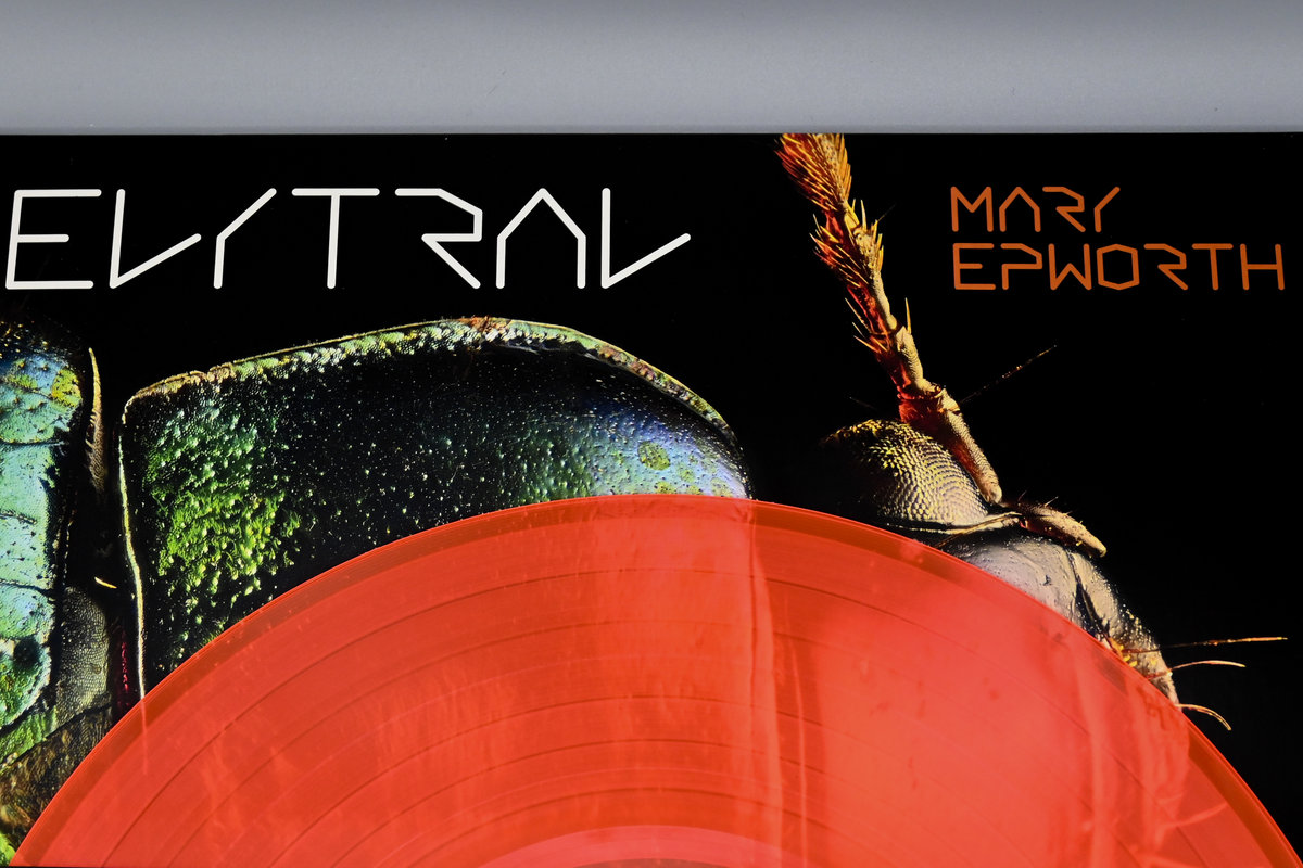 Elytral | Mary Epworth