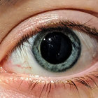 Splinters From An Ever-Changing Face | End