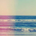 Lamp Phantasma (2008) / ランプ幻想 | Lamp | Botanical House