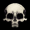 A Night of Horror | Dick Donovan | HorrorBabble