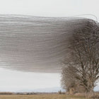 Clay | Herbert & Momoko | Matthew Herbert