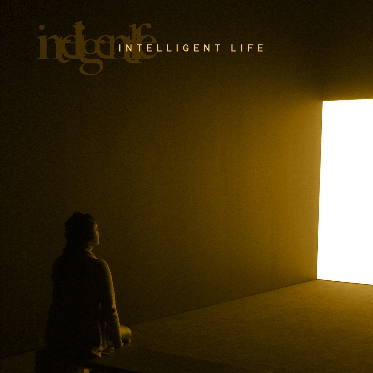 Everything Is Always The Same | Intelligent Life