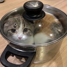 the first glass beach album | glass beach