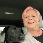 Vending Machine | David Lowery